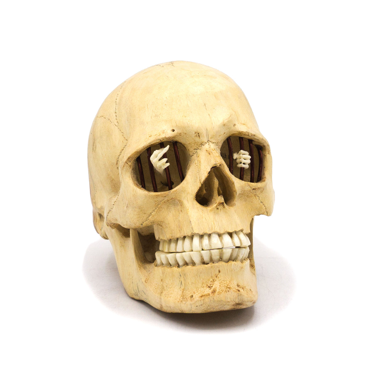 PRE-ORDER - MONDAY MORNING – Skull-Bali